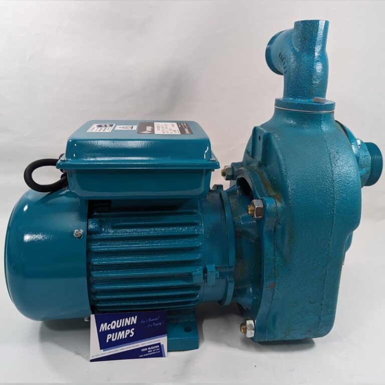 Pentair Onga 150 – Self Priming Cast Iron Pump – McQuinn Pumps